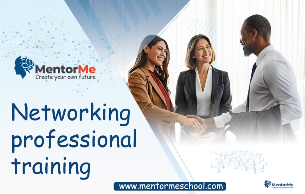 Networking Professional Training – Mentor Me School